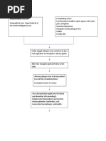 Pathophysiology Dengue | PDF | Monocyte | Immune System