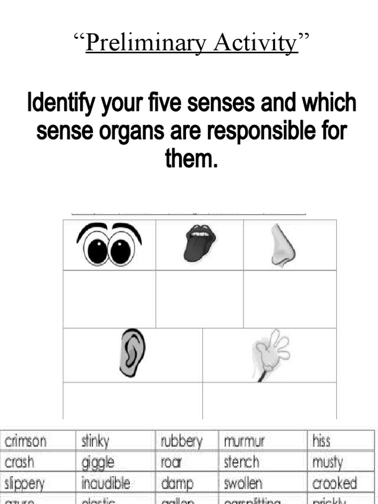 "Preliminary Activity" Identify Your Five Senses and Which Sense Organs ...