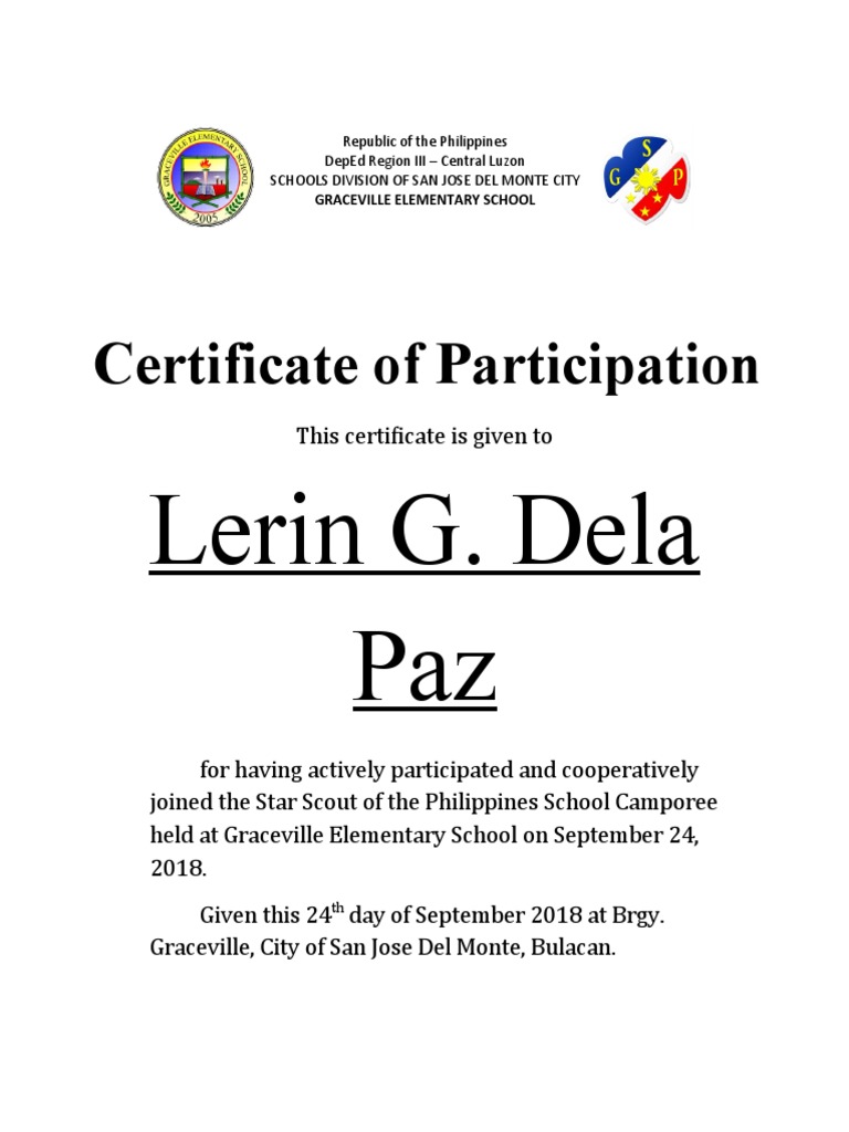 Certificate of Participation GSP | PDF