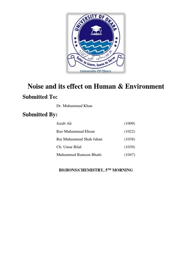 Noise and Its Effect On Human & Environment: Submitted To | PDF | Noise ...