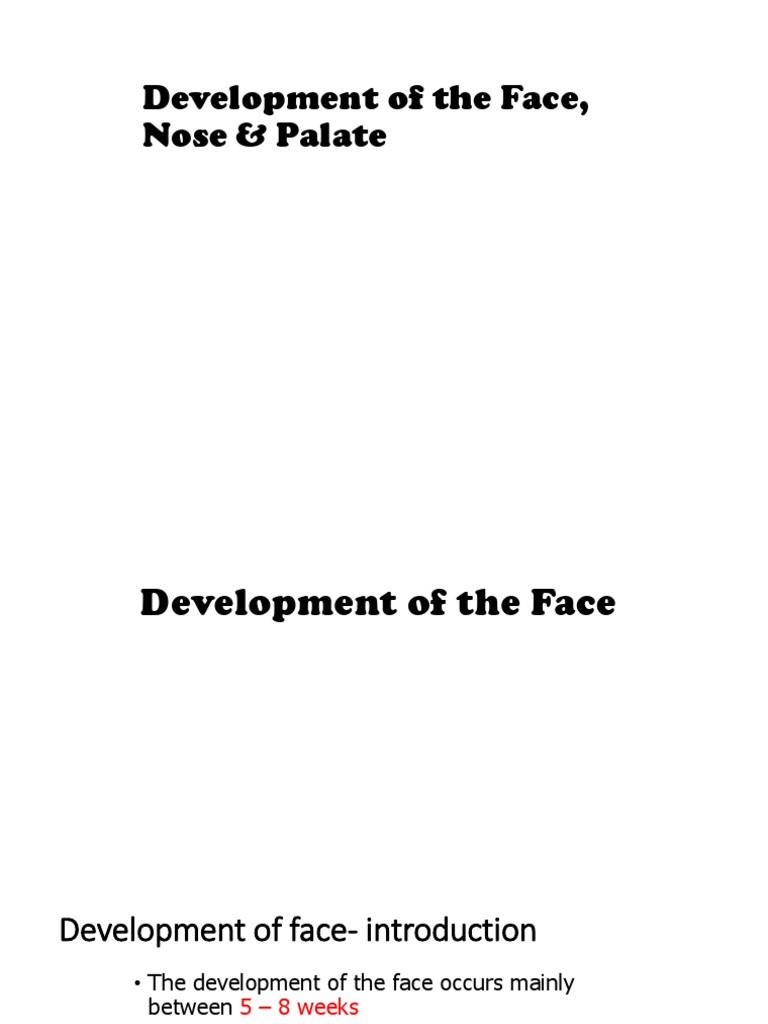 Development of Face - and Palate | PDF | Human Nose | Facial Features