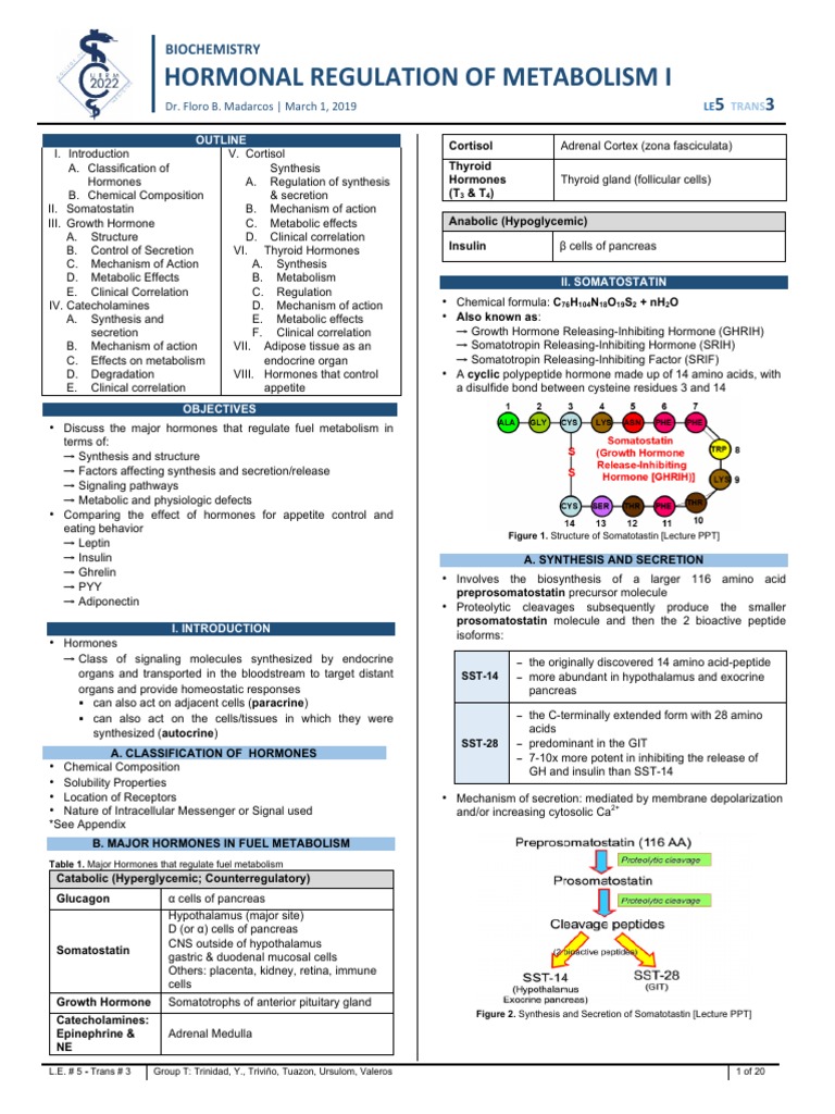 Hormone Regulation 1 | PDF | Growth Hormone | Hormone