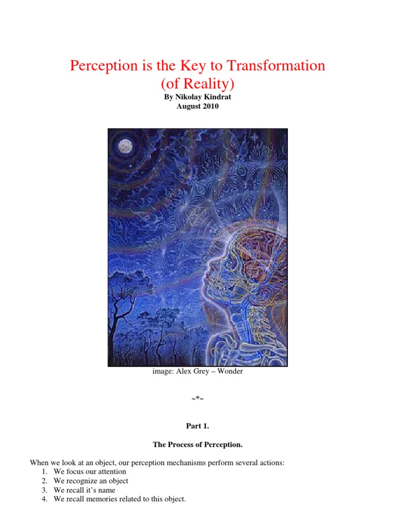 Keys to Perception Transformation | PDF | Perception | Experience