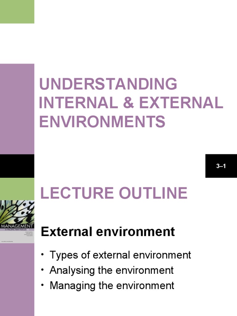 Internal and External Environment | PDF | Organizational Culture ...