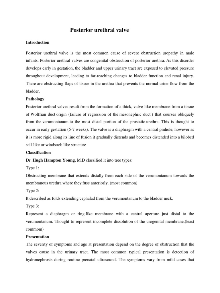 Posterior Urethral Valve | PDF | Urology | Genitourinary System
