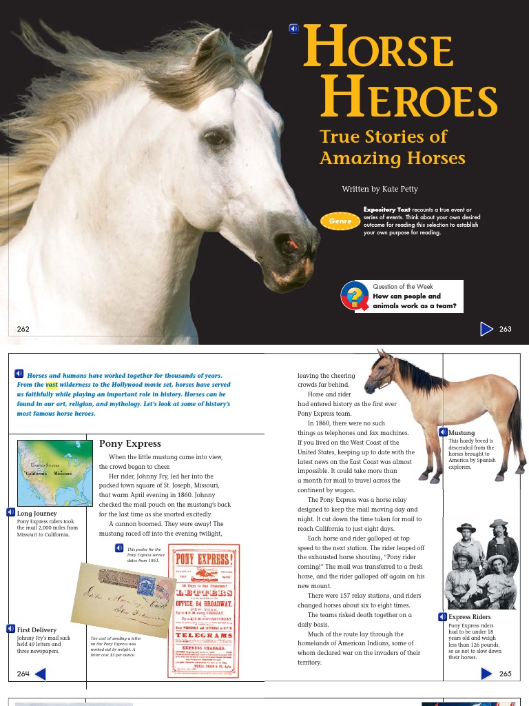 Orse Eroes: True Stories of Amazing Horses | PDF | Pony Express