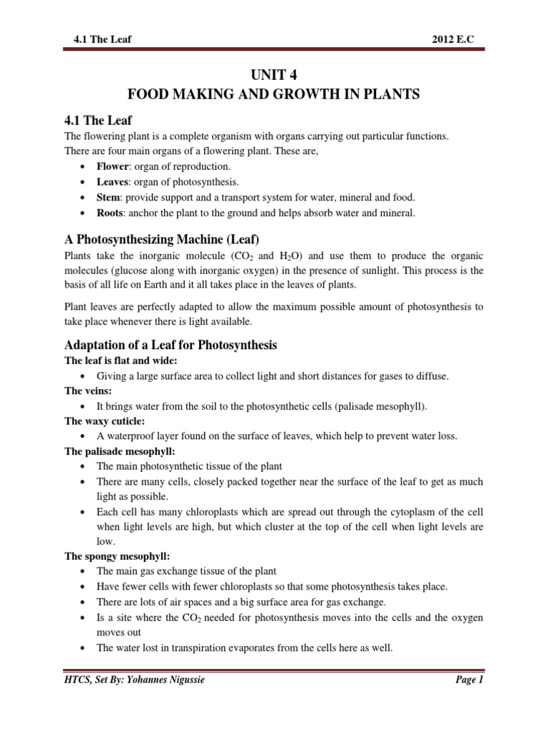 Leaf Structure and Photosynthesis | PDF | Leaf | Photosynthesis