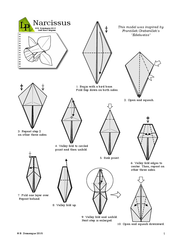 Narcissus Diagram 2015 | PDF