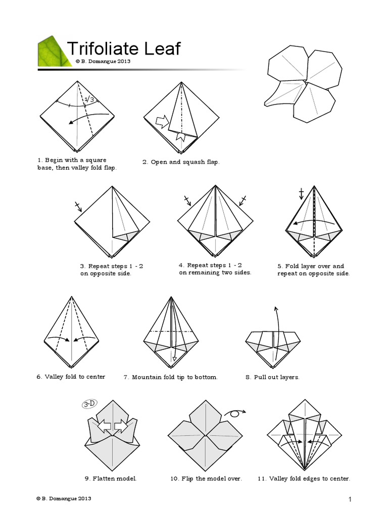 3D Trifoliate Leaf Origami Guide | PDF