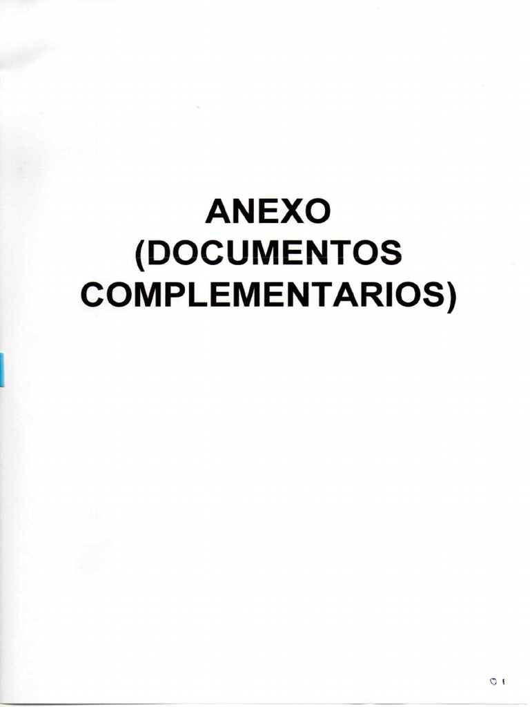 Anexos Complementarios | PDF
