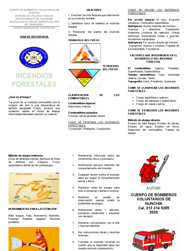 Folleto Incendios Forestales 2020 | PDF | Fuego fatuo | Combustión