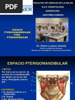 Region Geniana | PDF | Cabeza y cuello humanos | Anatomía humana