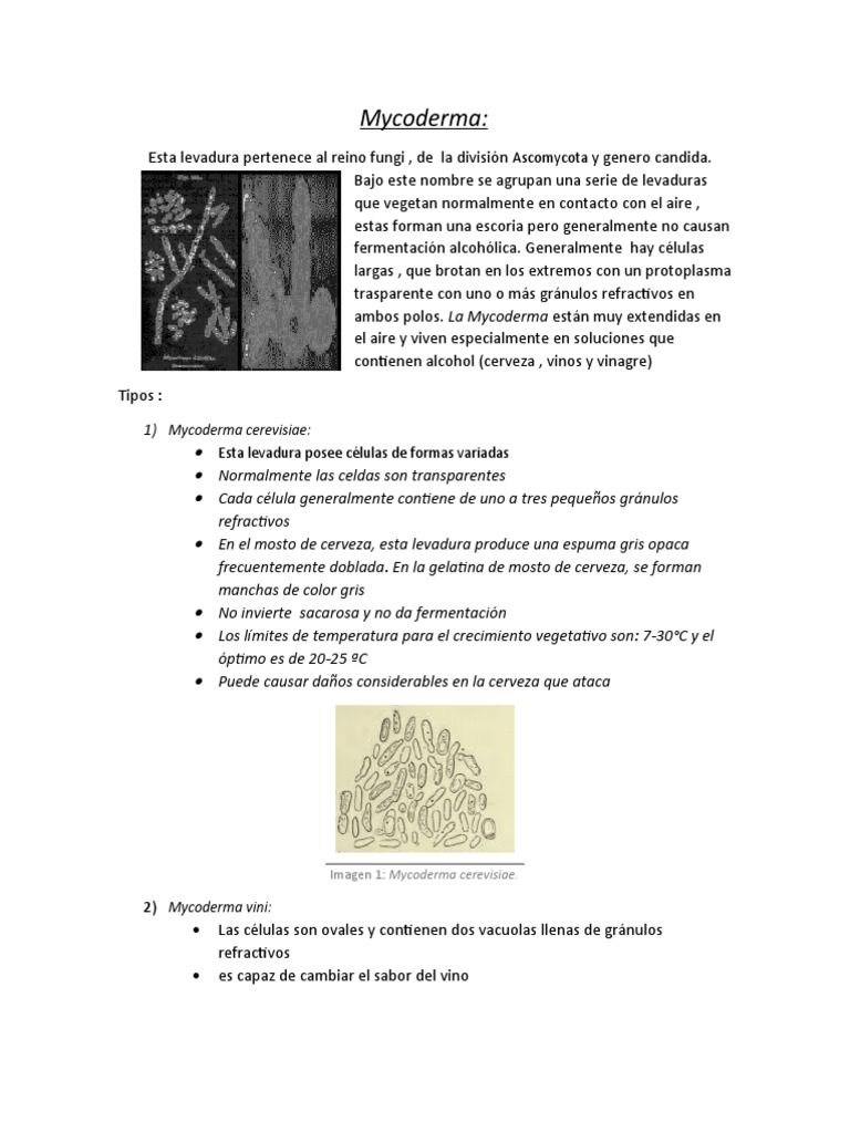 Tarea de Micro 2 (Mycoderma) | PDF | Vino | Levadura