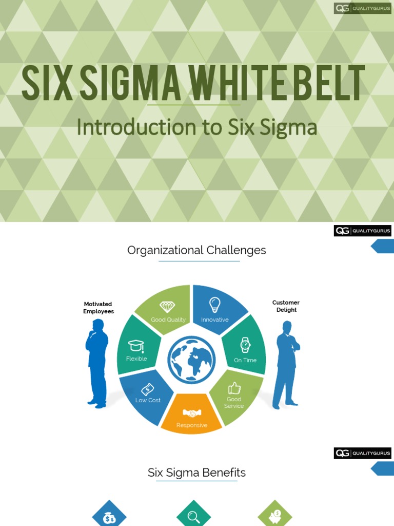 SSWB Course Slides PDF | PDF | Six Sigma | Business