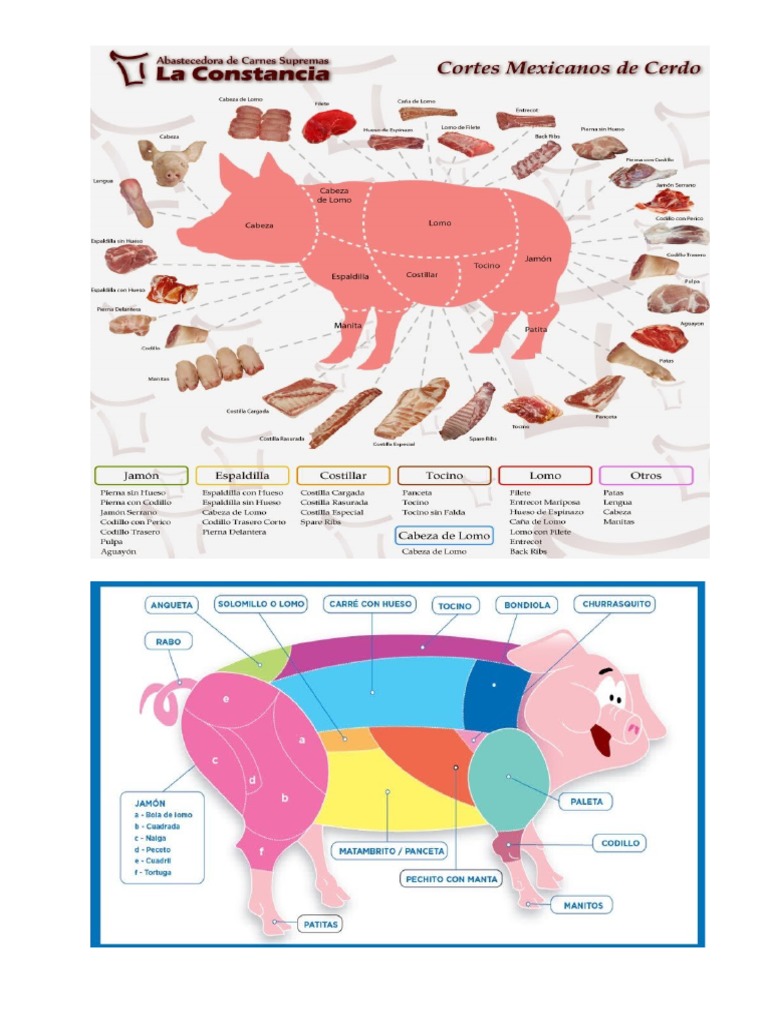 Cortes Del Cerdo, Pescado, Pollo y Res | PDF