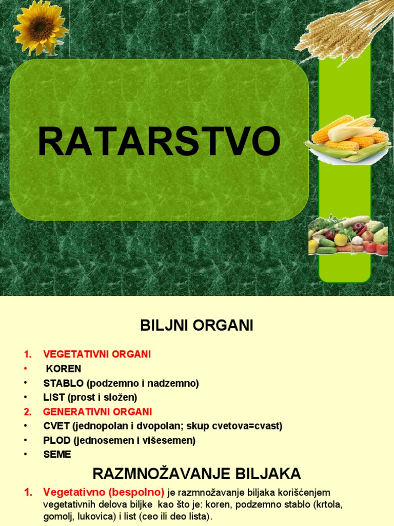RATARSTVO Poseban Deo 3 | PDF
