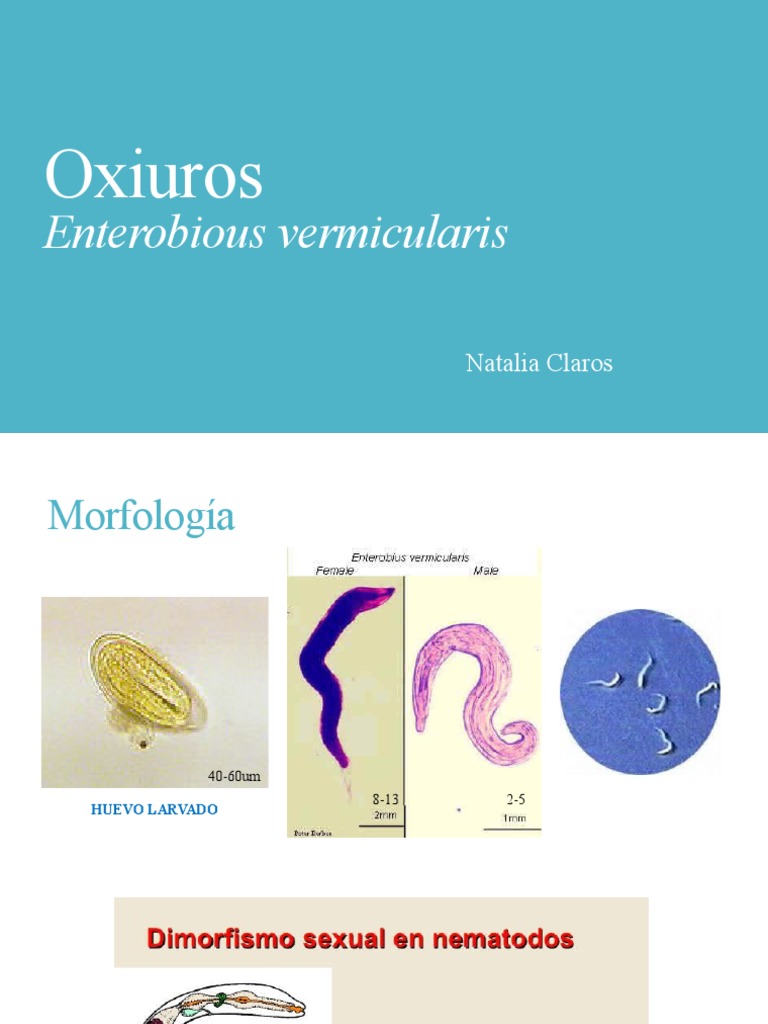 Oxiuros | PDF