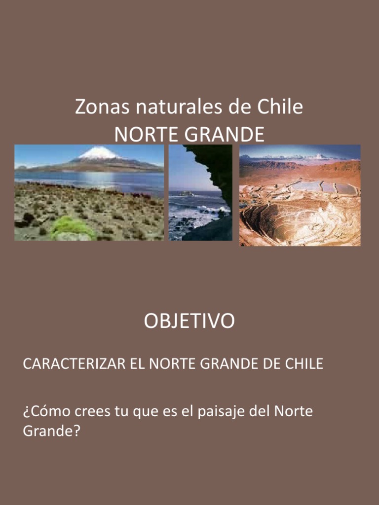 Zonas Naturales de Chile Norte Grande | PDF