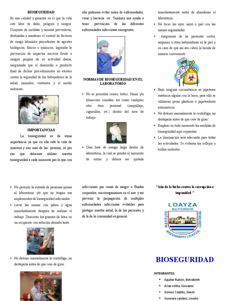 Bioseguridad Triptico | PDF | Salud pública | Especialidades Medicas