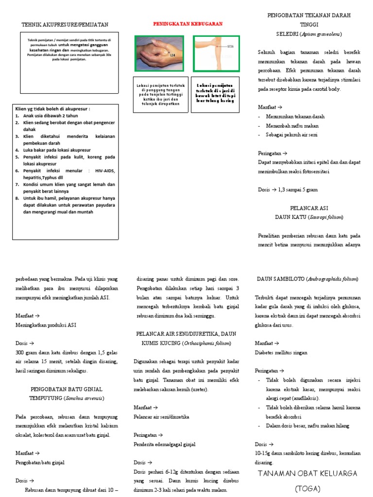 Leaflet Akupresur TOGA | PDF
