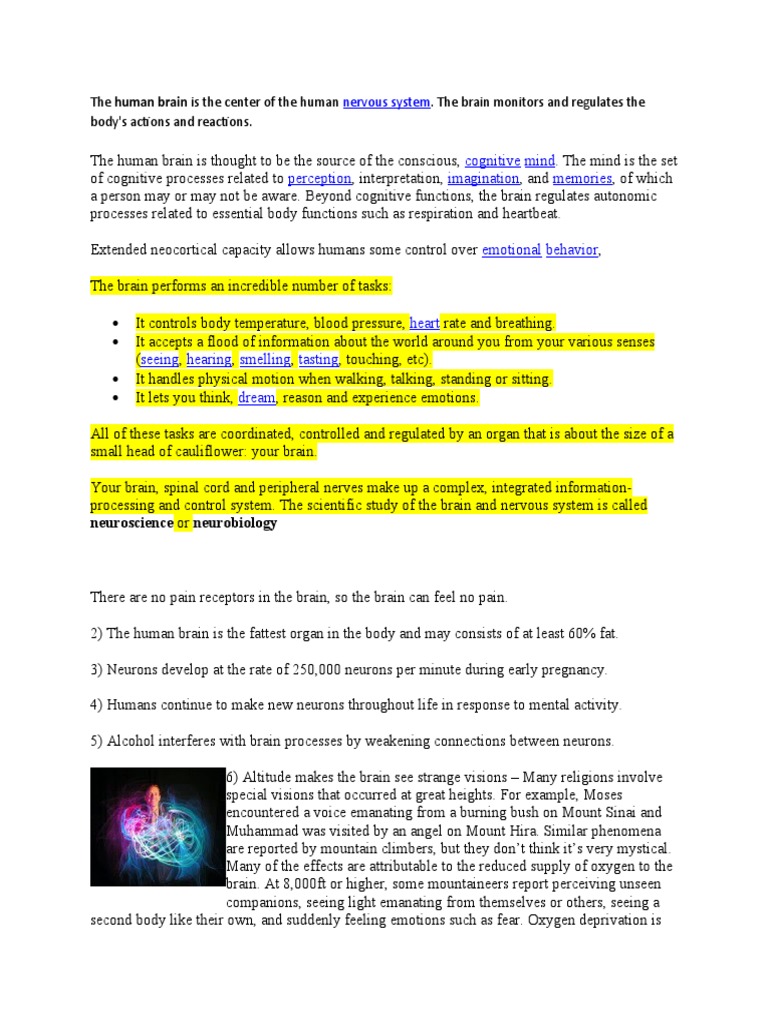 Fascinating Facts About the Human Brain | PDF | Brain | Memory