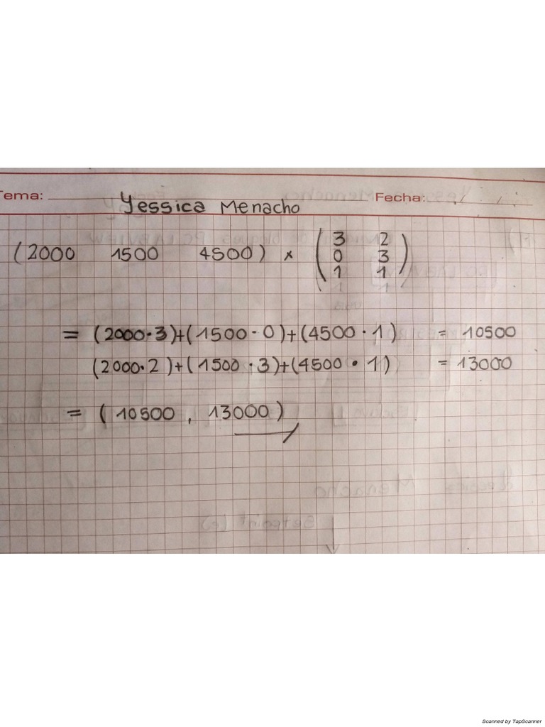 TapScanner Document Scan Overview | PDF