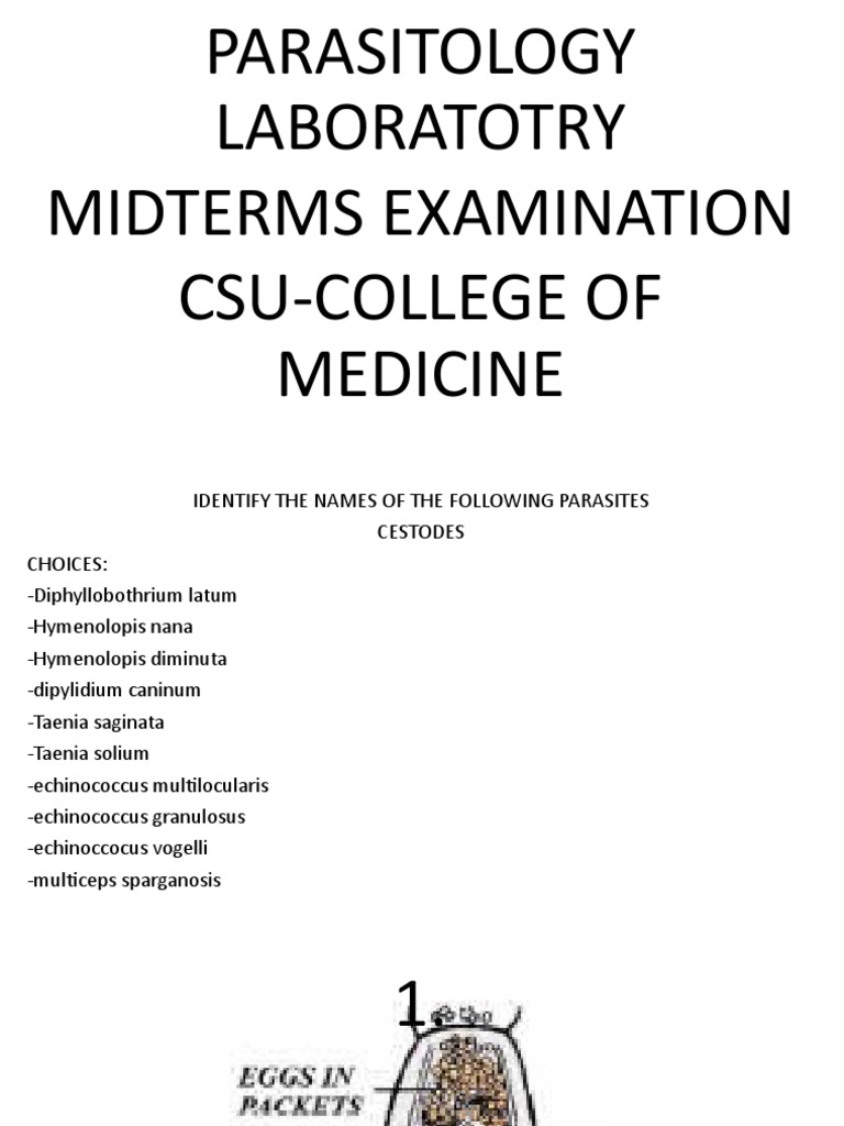 Parasit Lab Midterms | PDF