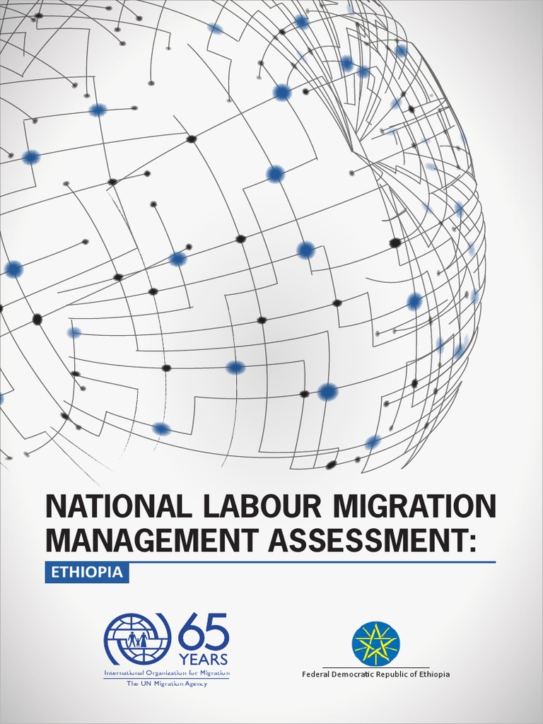 National Labour Migration Assessment Report PDF | PDF | Migrant Worker ...