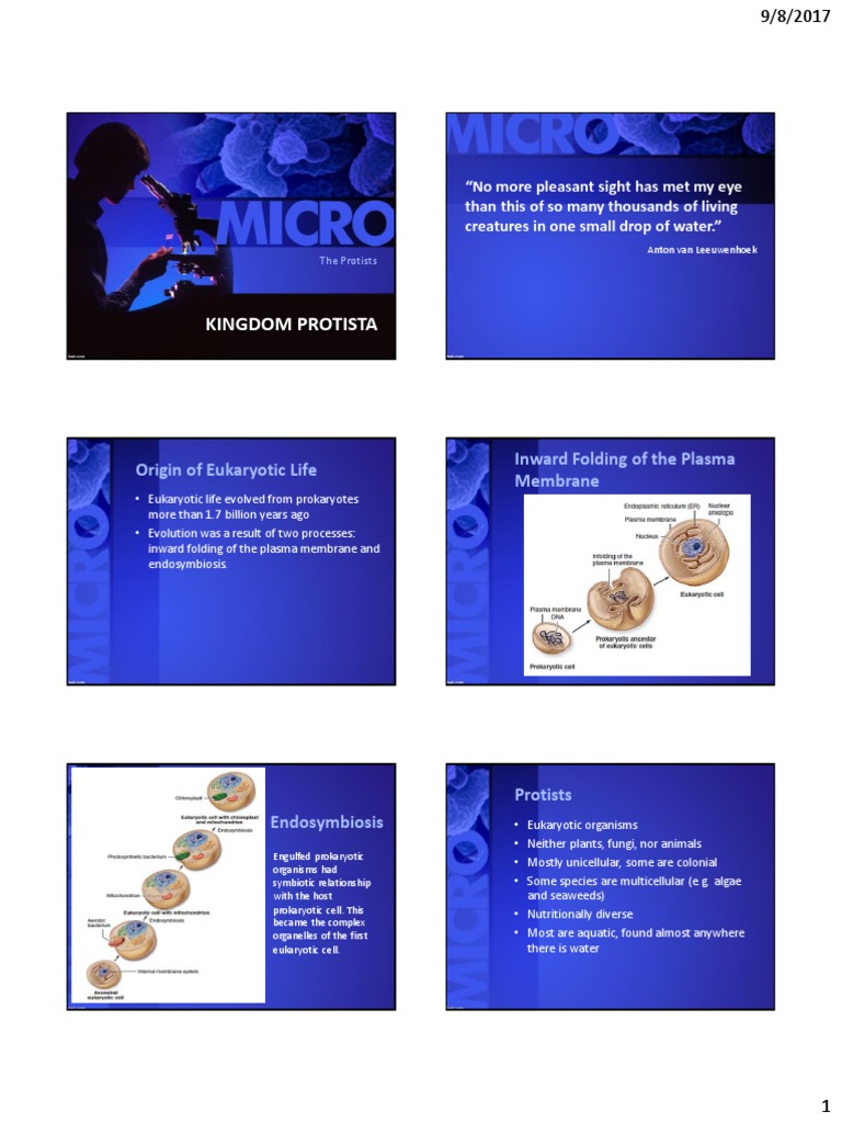 Protist Classification and Diversity | PDF | Algae | Protozoa