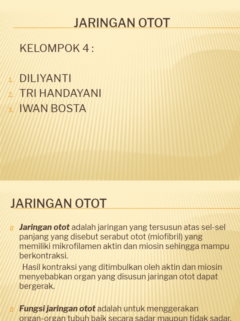 Jaringan Otot | PDF