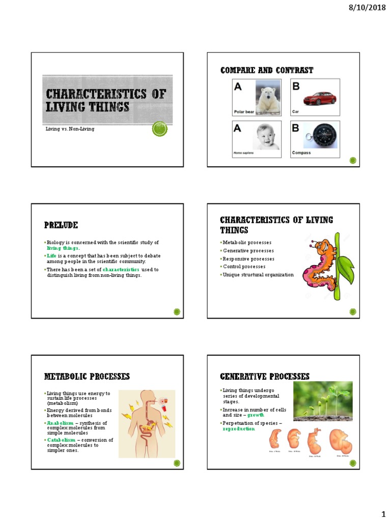 Characteristics of Living Things Explained | PDF | Life | Biology