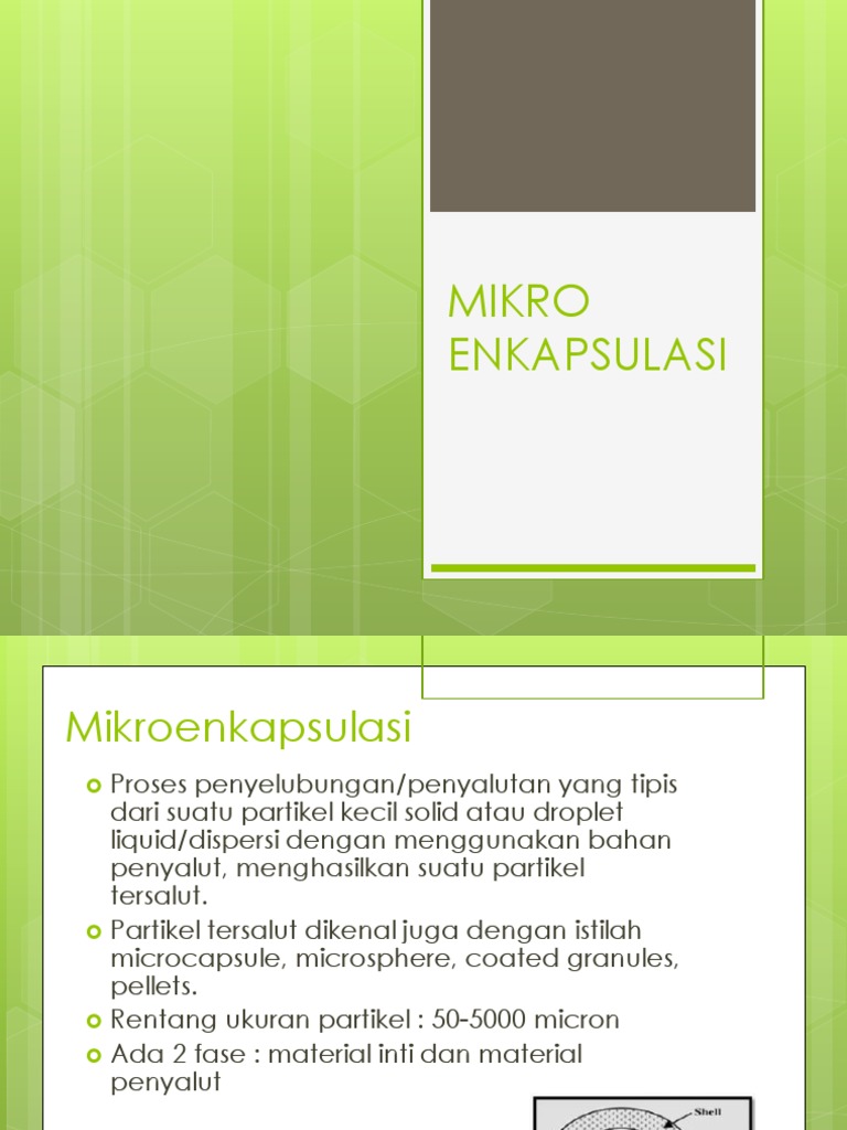 An Overview of Microencapsulation Techniques and Their Applications in ...