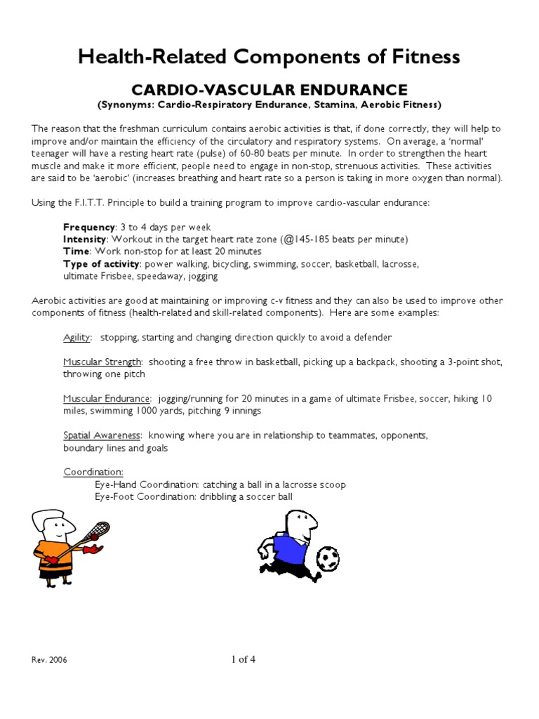 Health-Related Fitness Components Overview | PDF | Flexibility (Anatomy ...