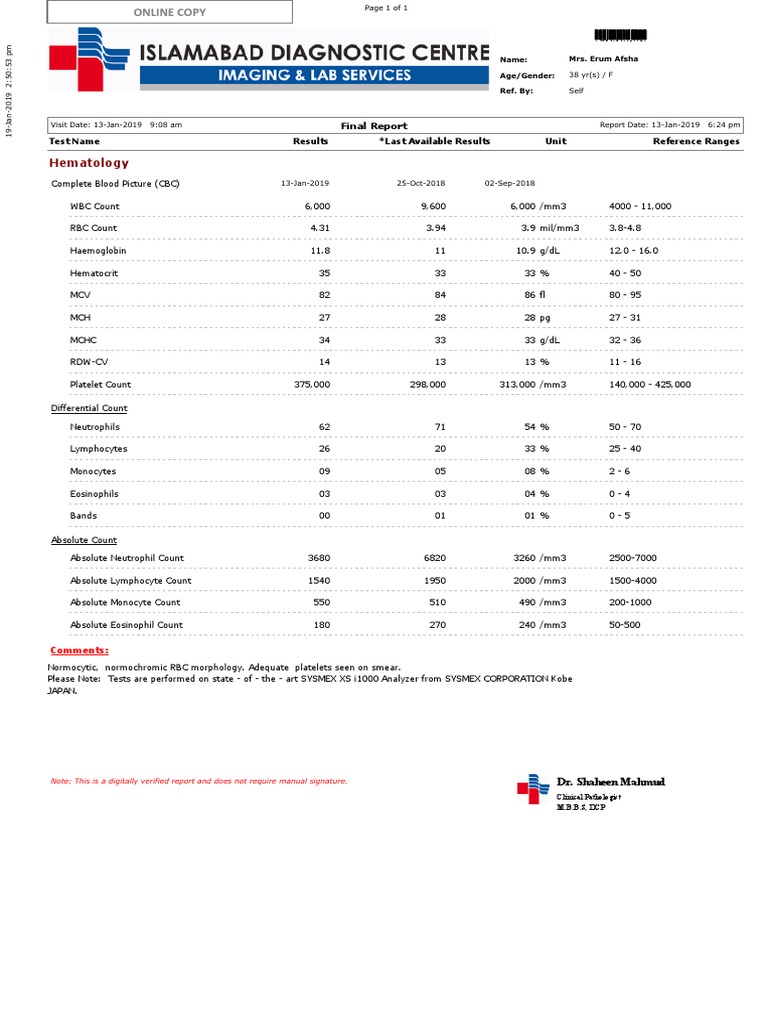 RPT Viewer | PDF | Blood | Hematology