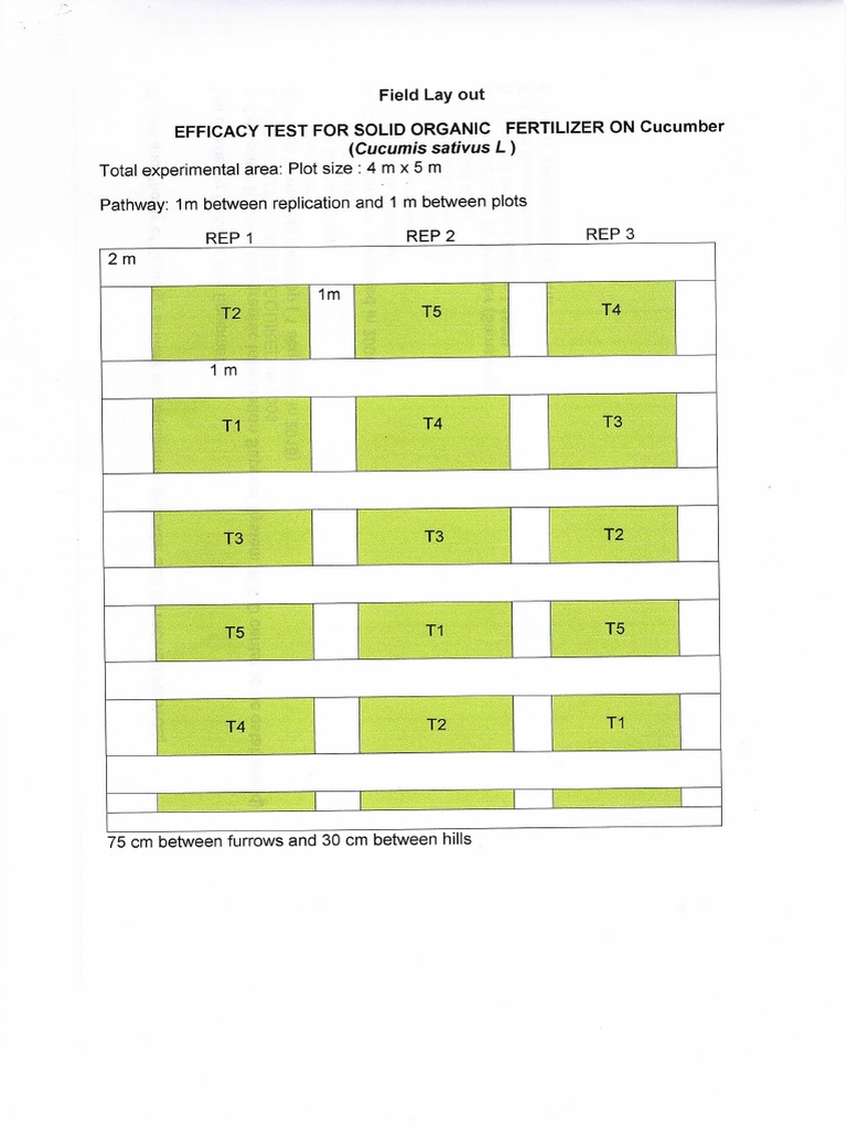 Field Lay Out | PDF