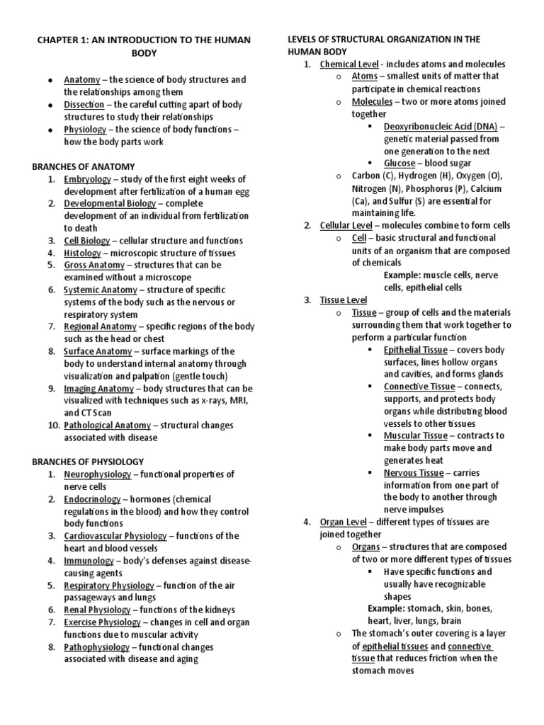 Introduction To The Human Body | PDF | Human Body | Anatomical Terms Of ...