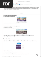Grade 4 Water Cycle Worksheet | PDF | Water Cycle | Water