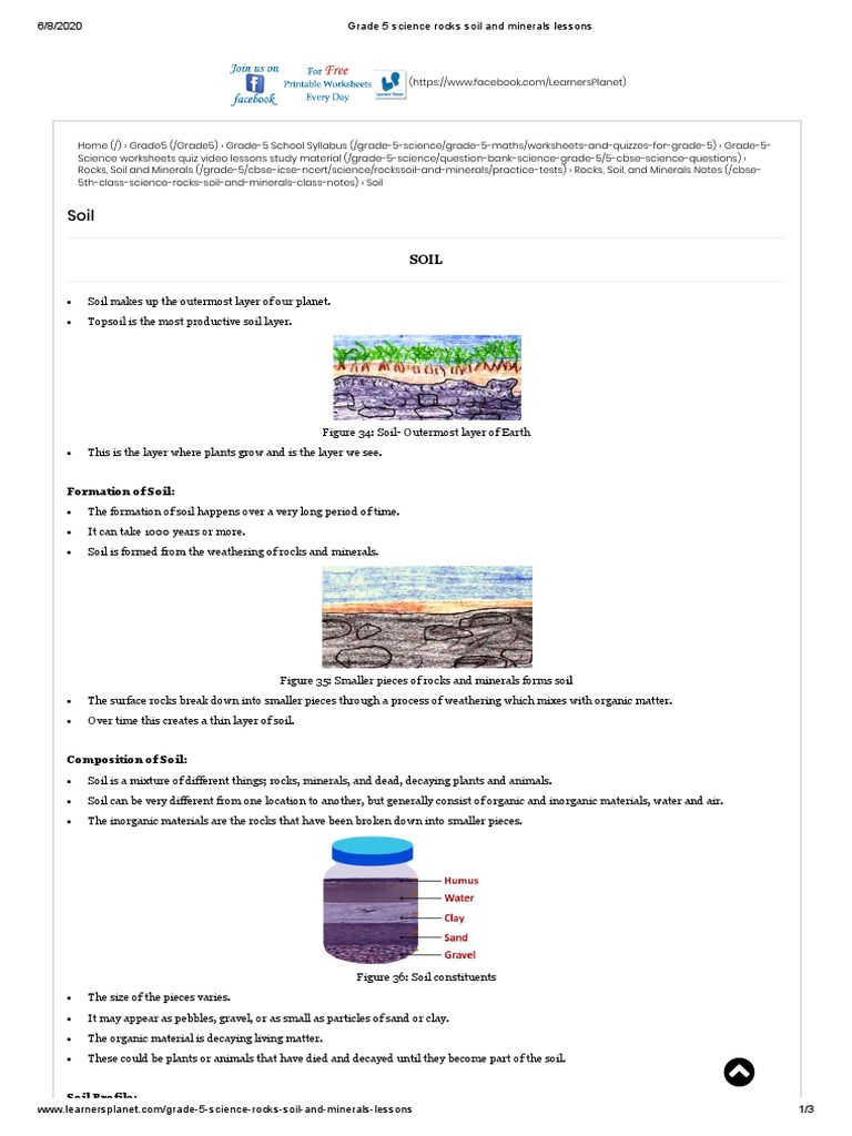 Grade 5 Science Soil | PDF | Topsoil | Soil