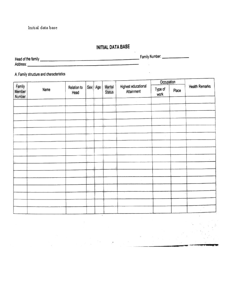 Initial Data Base | PDF