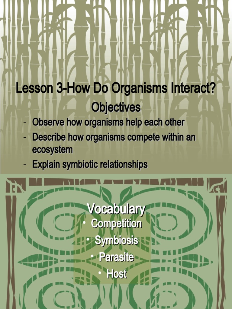 Lesson 3-How Do Organisms Interact?: Objectives | PDF | Symbiosis ...