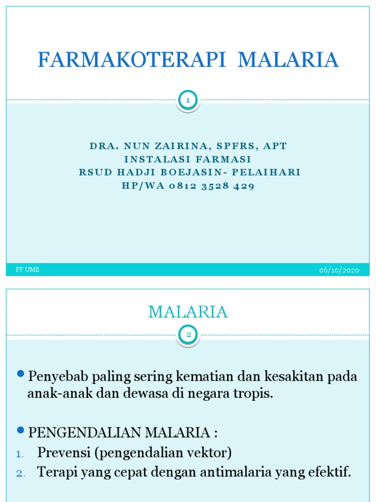 Terapi Malaria: Panduan dan Strategi | PDF | Sains & Matematika