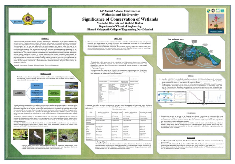 Wetland Poster PDF | PDF | Wetland | Ecosystem