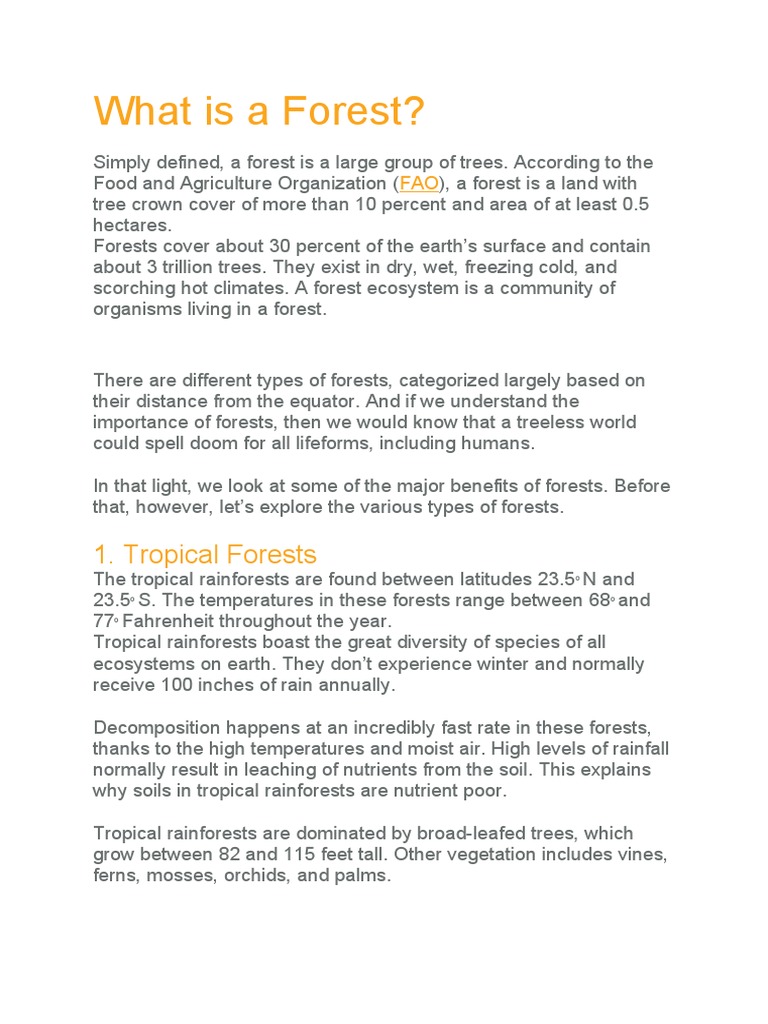 What Is A Forest?: 1. Tropical Forests | PDF | Forests | Temperate Climate