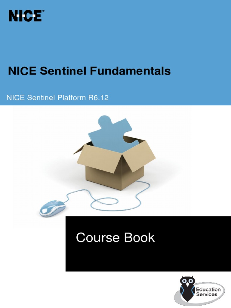 Student Course Book - NICE Sentinel Fundamentals R6.12 PDF | PDF | Databases | Server (Computing)