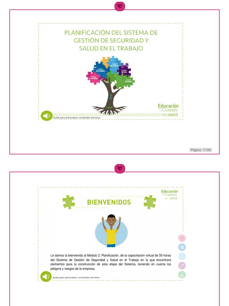 Planificación del SG-SST en Empresas | PDF | Planificación | Science