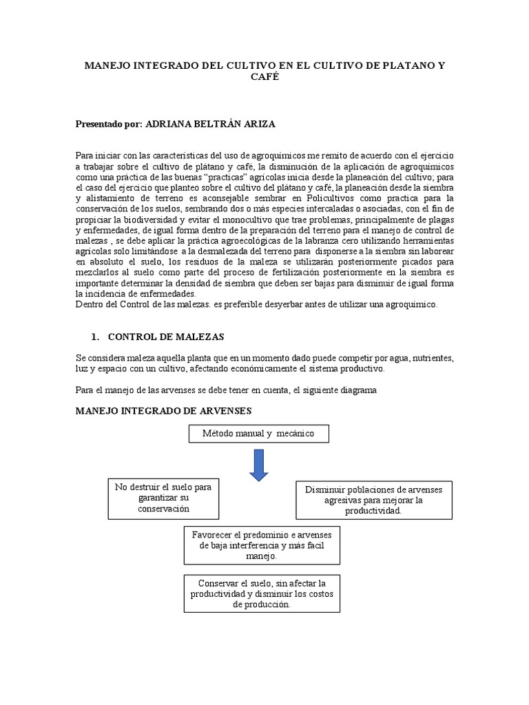 Manejo Integrado Del Cultivo de Platano y Café PDF | PDF | Fertilizante | Compost