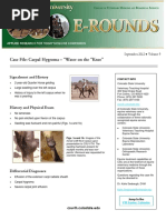 Swine Blood Collection Guide | PDF | Vein | Syringe