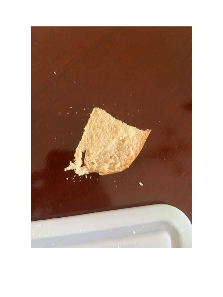 Experimento del moho en el pan húmedo | PDF | Panes | Descomposición