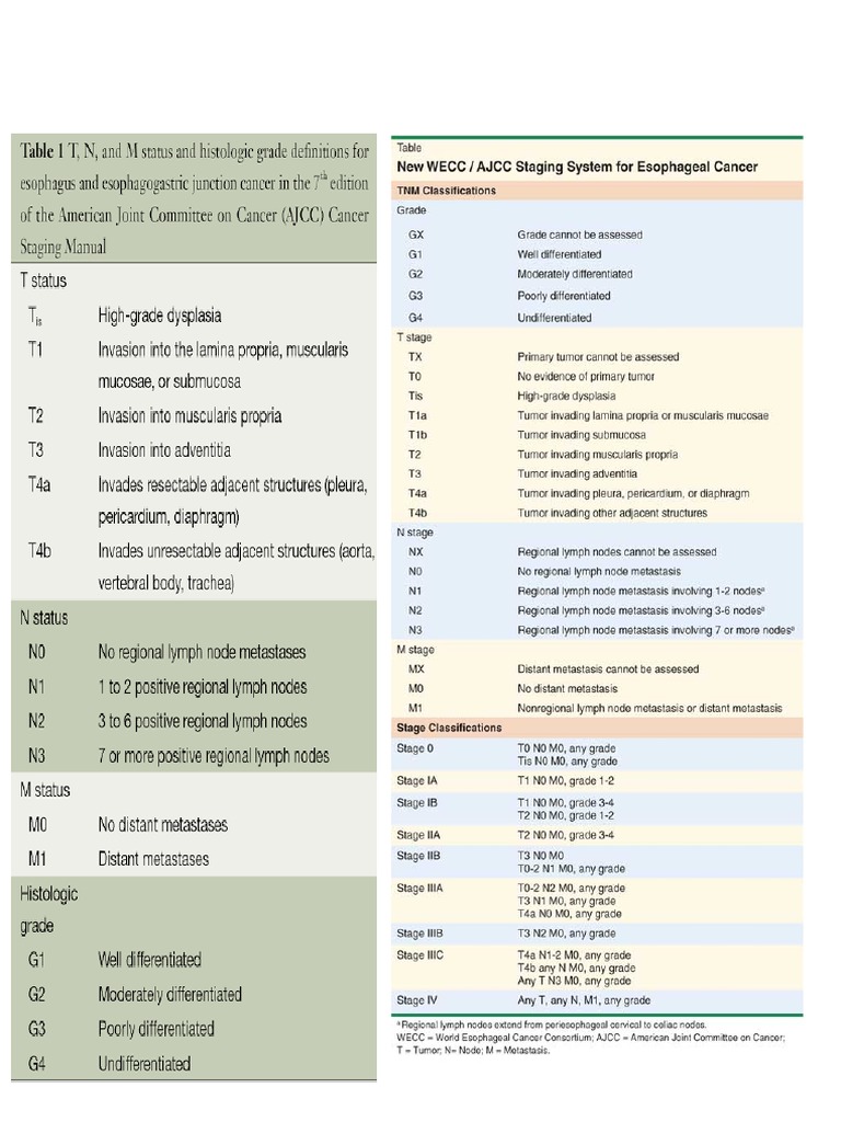 Esophageal Cancer Staging, Grading Tables From Bailey and Love | PDF