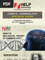 Merton's Strain Theory Explained | PDF | Deviance (Sociology) | Crime ...